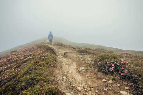 Jesus Christians - Official Website - Many Paths Up the Mountain